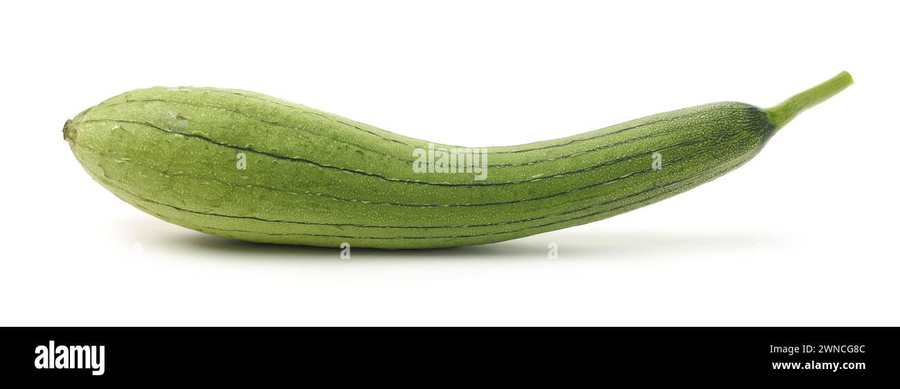fresh loofah on the white background Stock Photo - Alamy