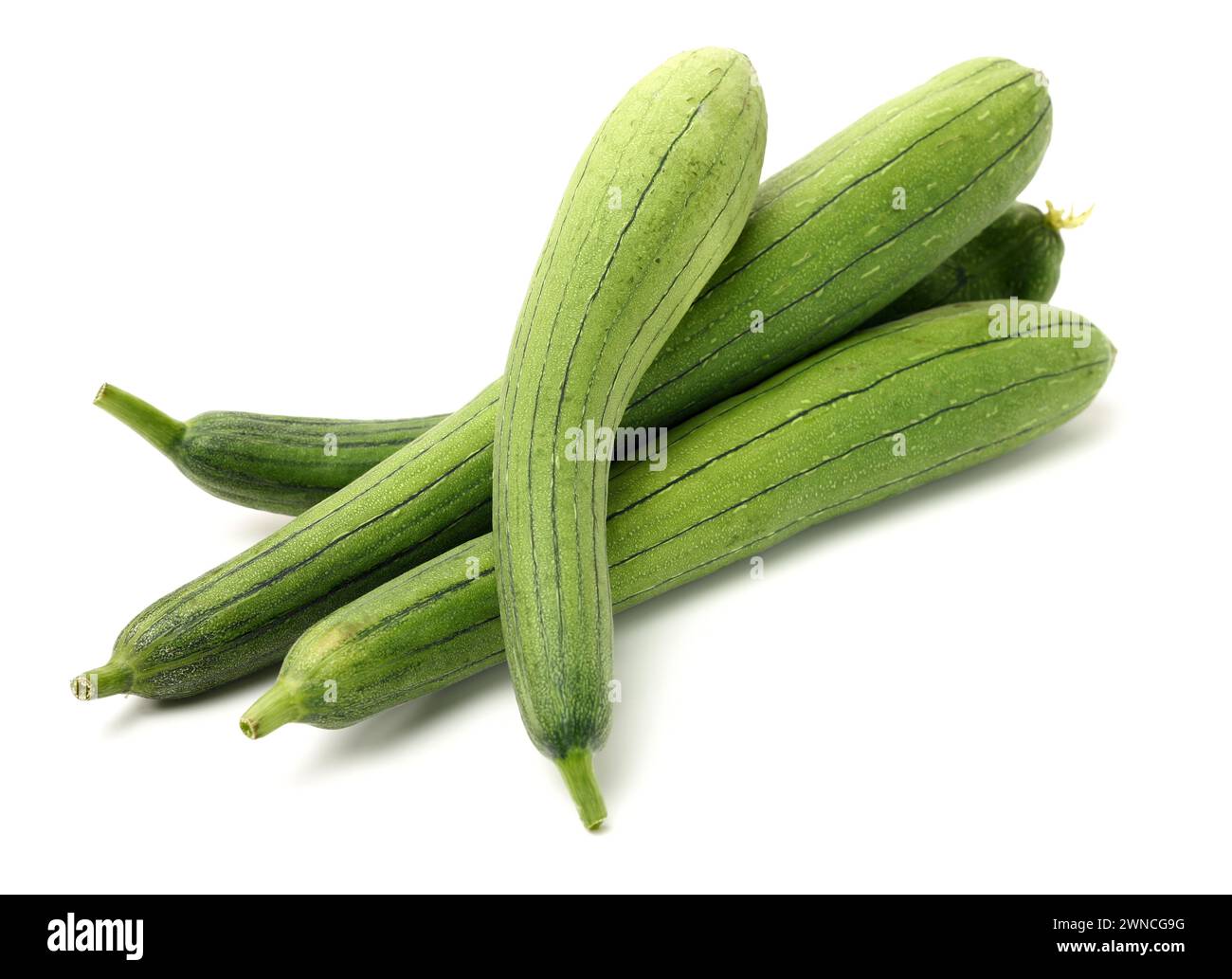 Loofah plant Cut Out Stock Images & Pictures - Alamy