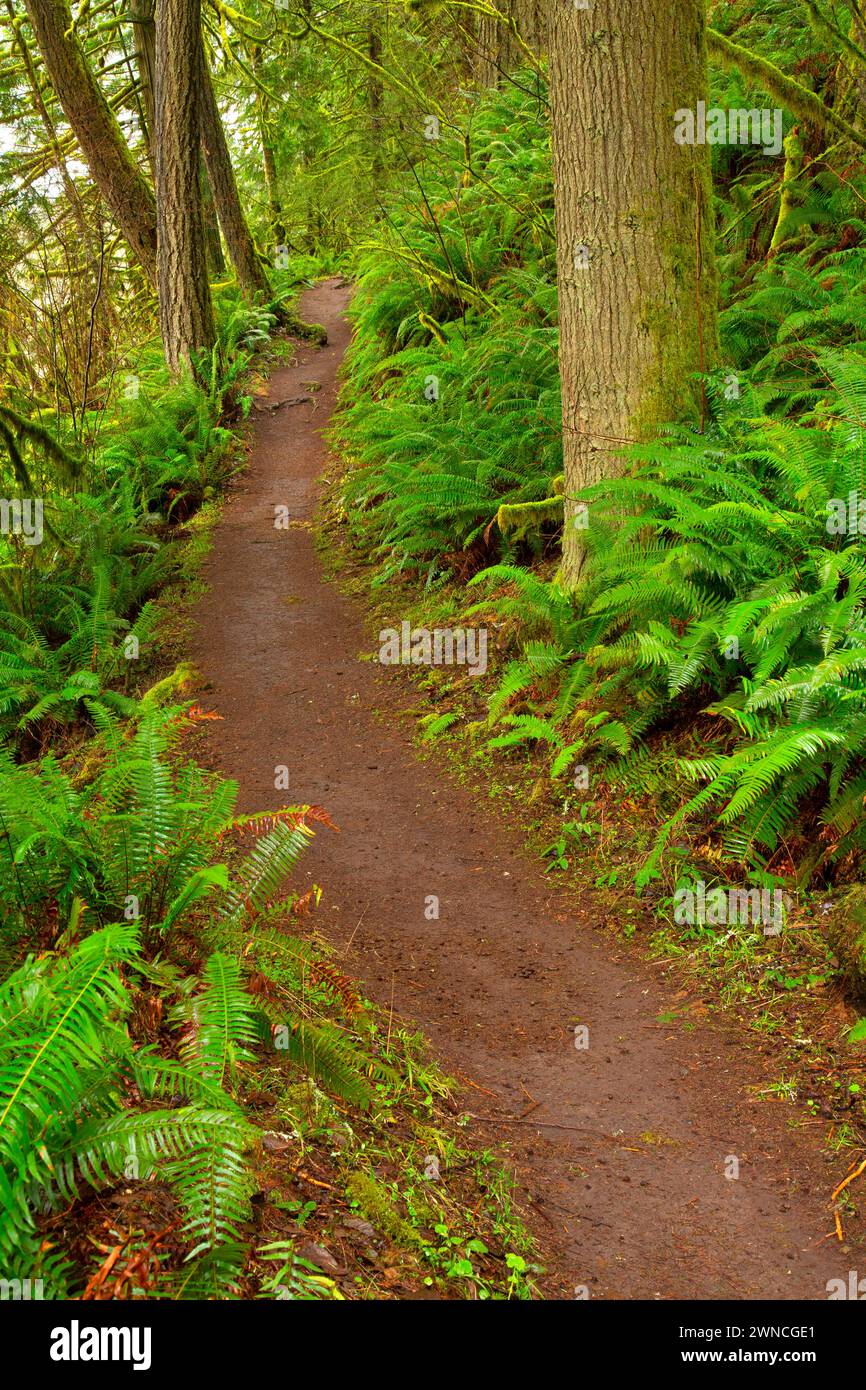 Regional hiking hi-res stock photography and images - Alamy