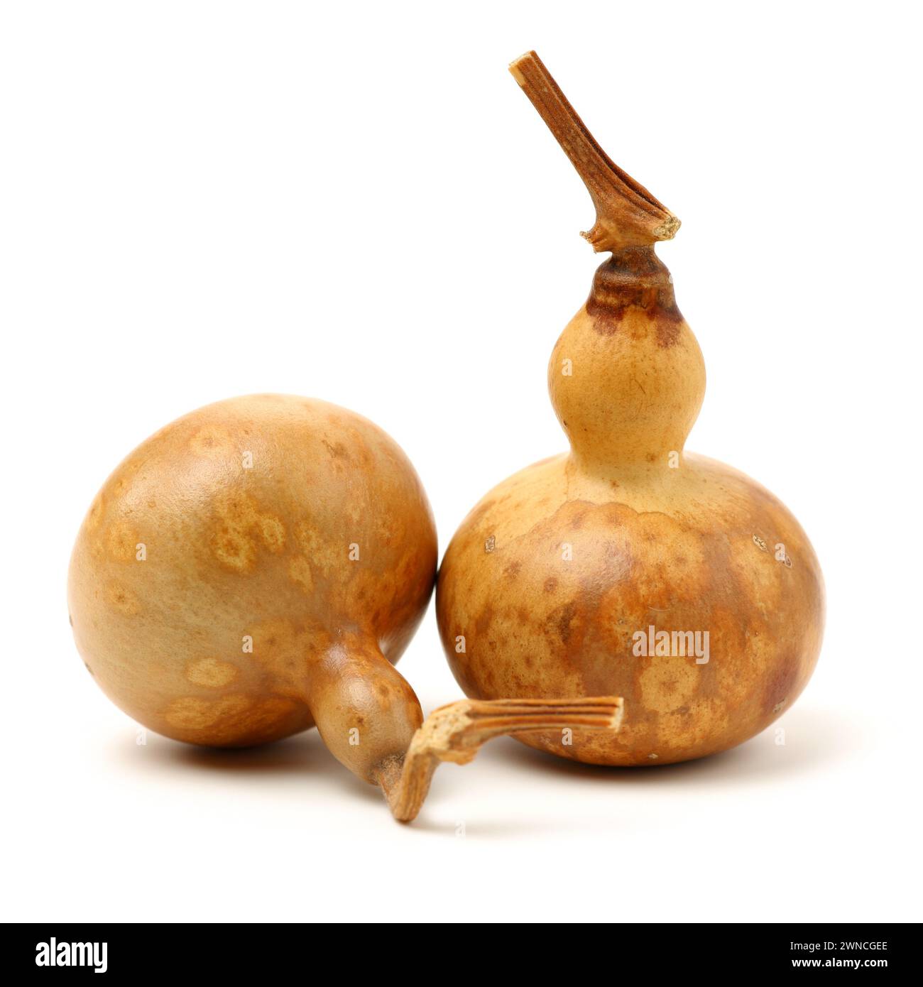 Calabash isolated on white background Stock Photo - Alamy