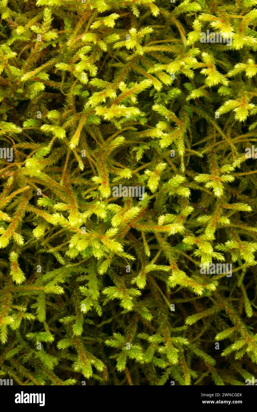 Oxbow regional park portland hi-res stock photography and images - Alamy