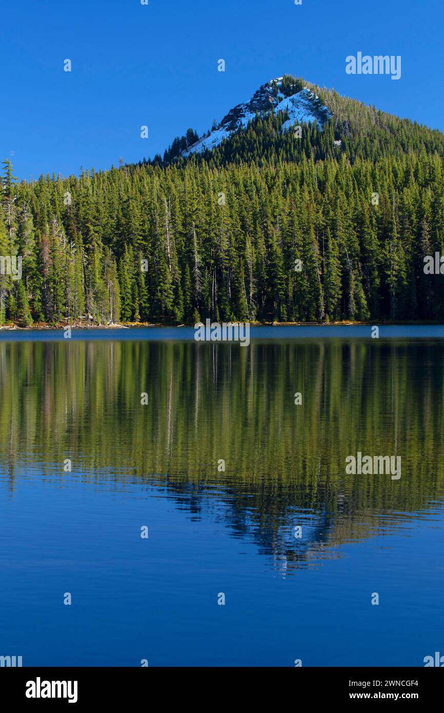 Gerdine hi-res stock photography and images - Alamy