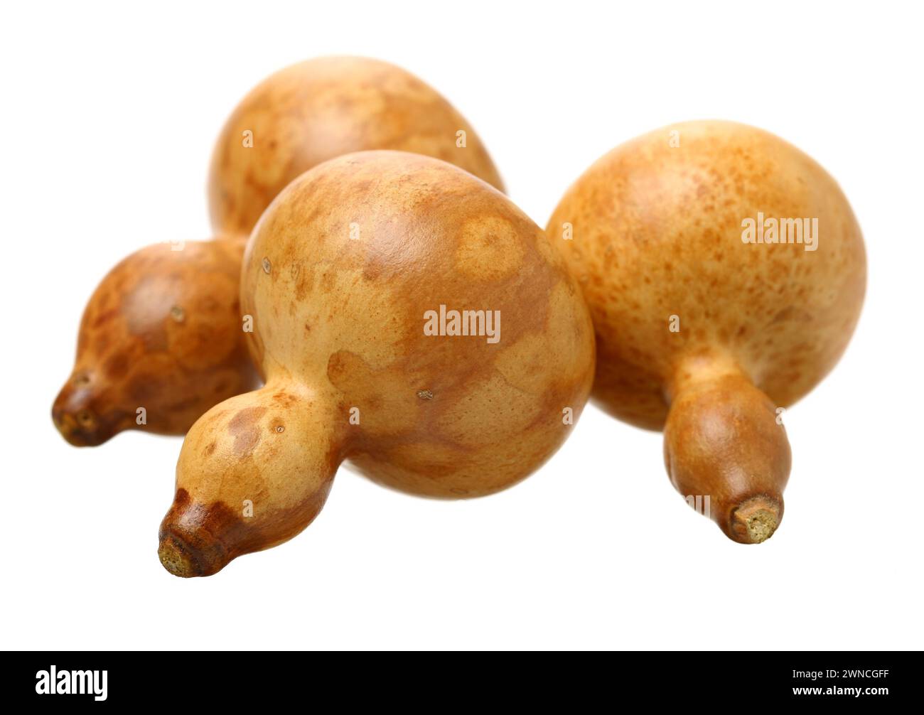 Calabash isolated on white background Stock Photo - Alamy