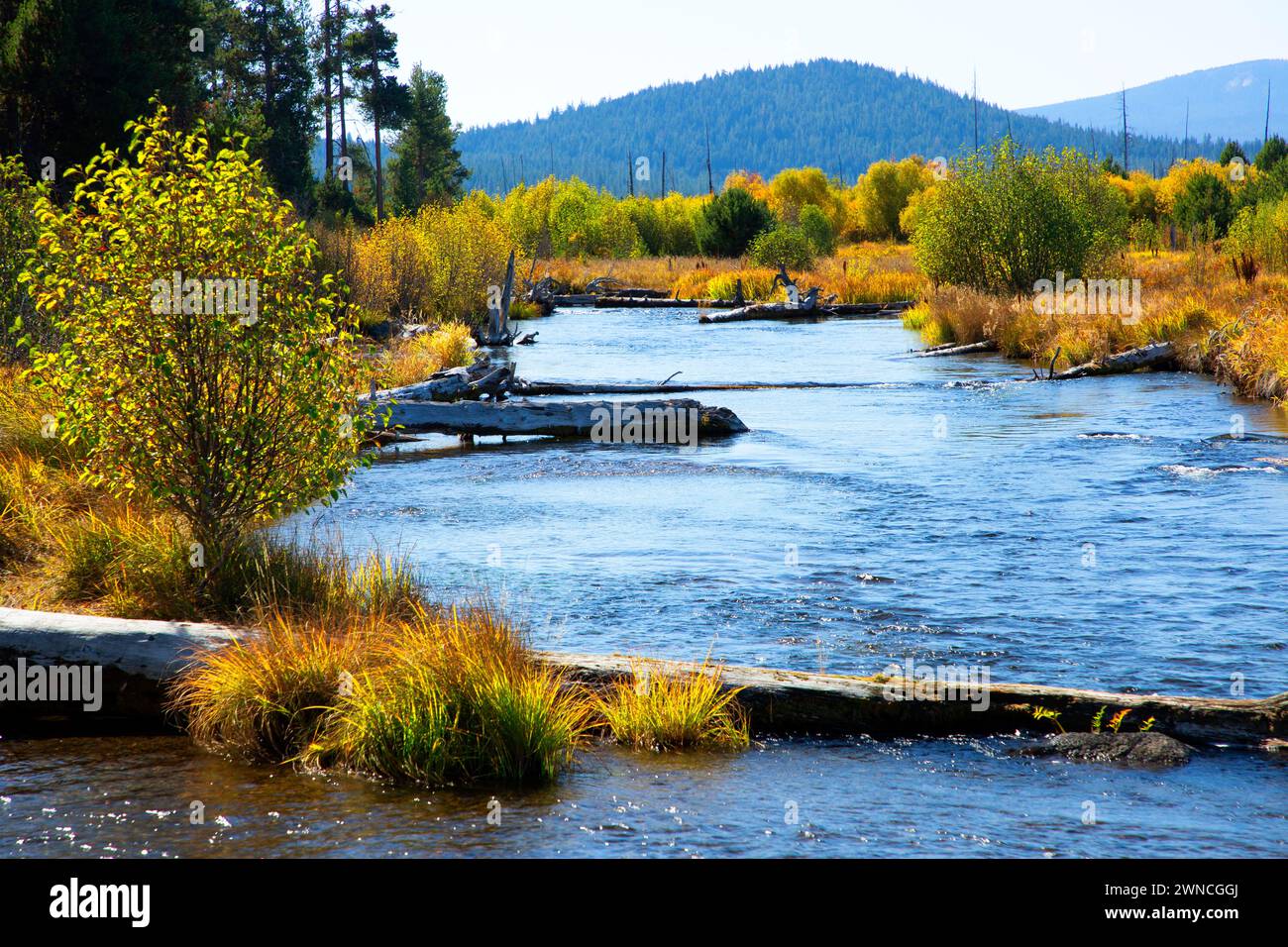 Odell Creek, Cascade Lakes National Scenic Byway, Deschutes National ...