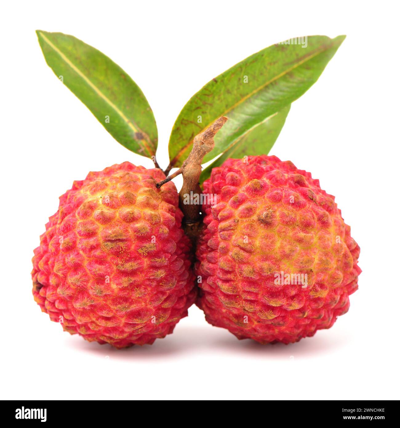 Fresh lychee (Litchi chinensis) isolated on white background Stock ...