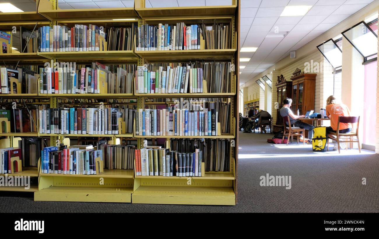 Bookshelves with books and library patrons working, reading, studying ...