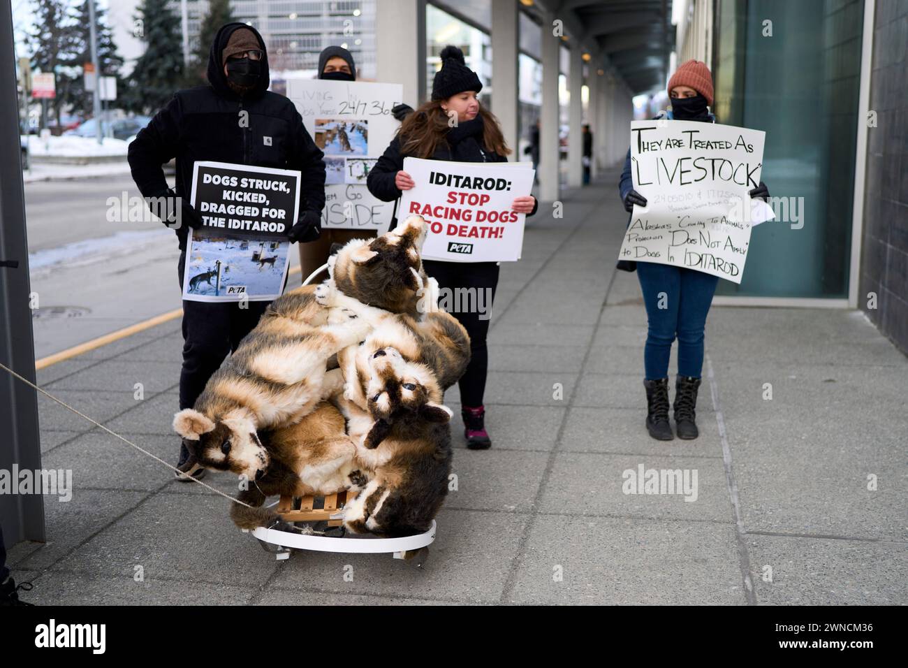 PETA members protest the Iditarod dog sled race, Thursday, Feb. 29 ...