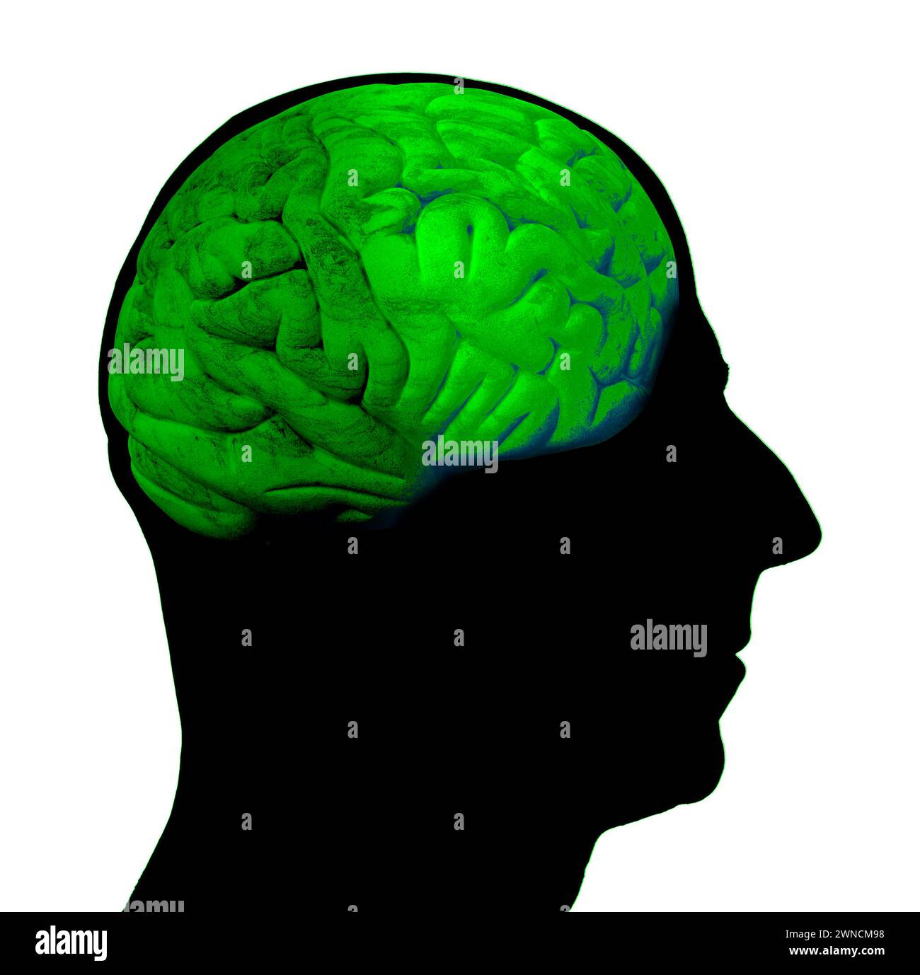 Green thinking, conceptual illustration Stock Photo - Alamy