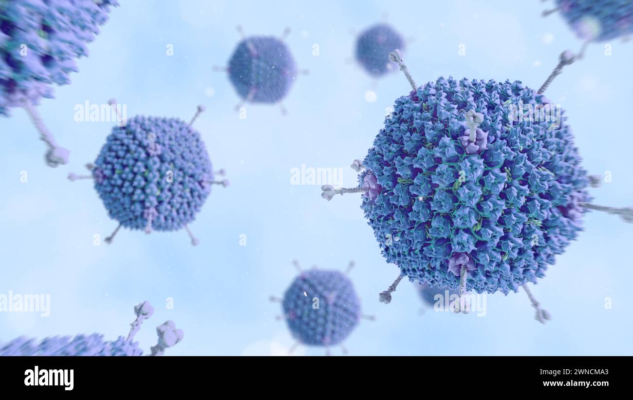 Adenovirus gene delivery hi-res stock photography and images - Alamy