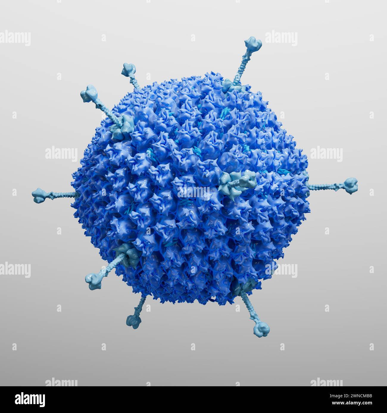 Adenovirus gene delivery hi-res stock photography and images - Alamy