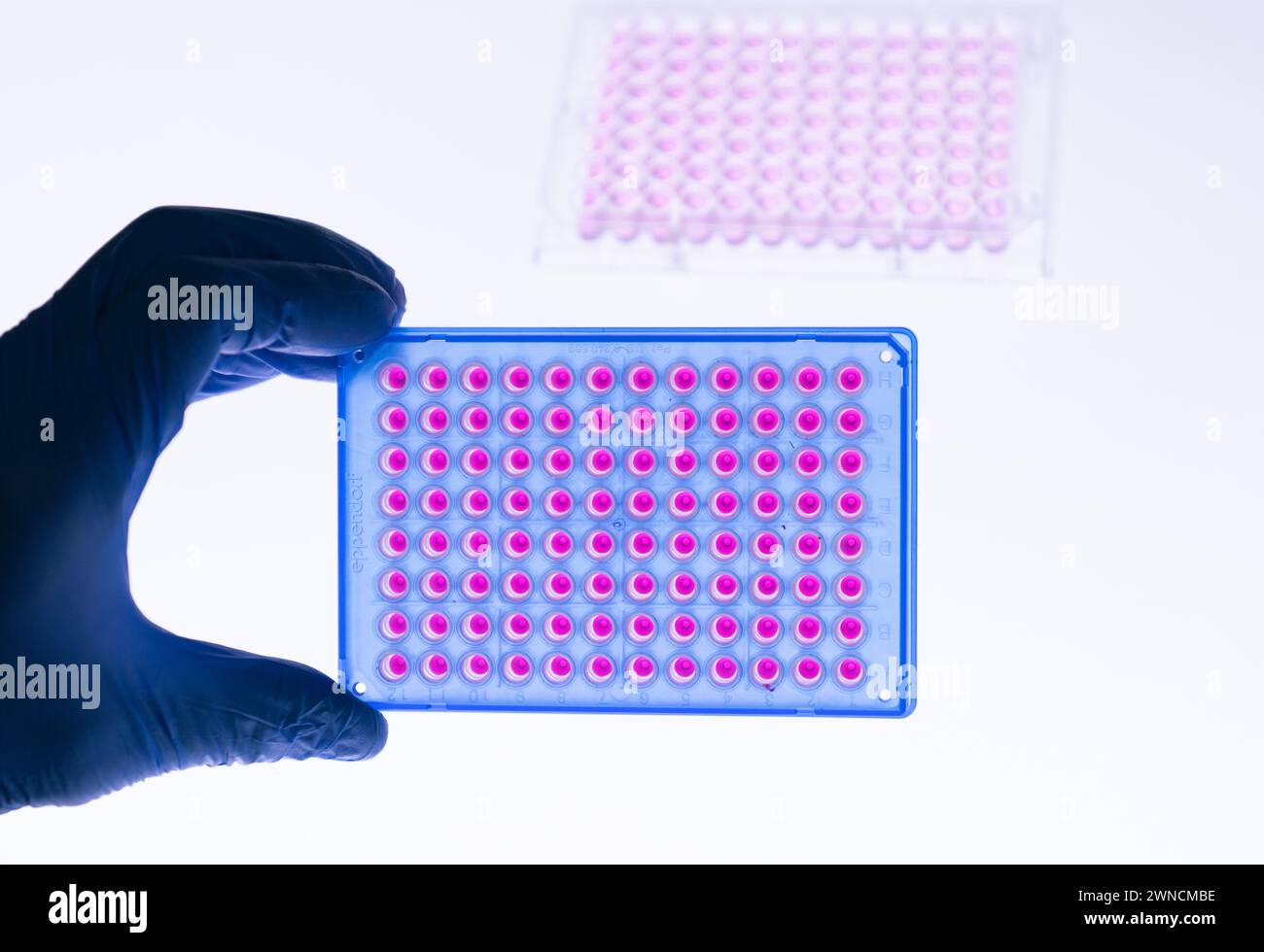 96 well plate hi-res stock photography and images - Alamy