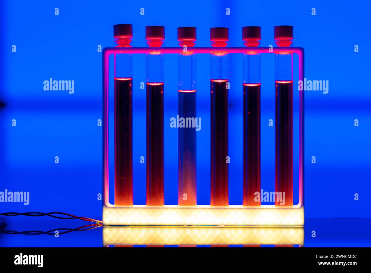 Samples of liquid in test tubes Stock Photo - Alamy