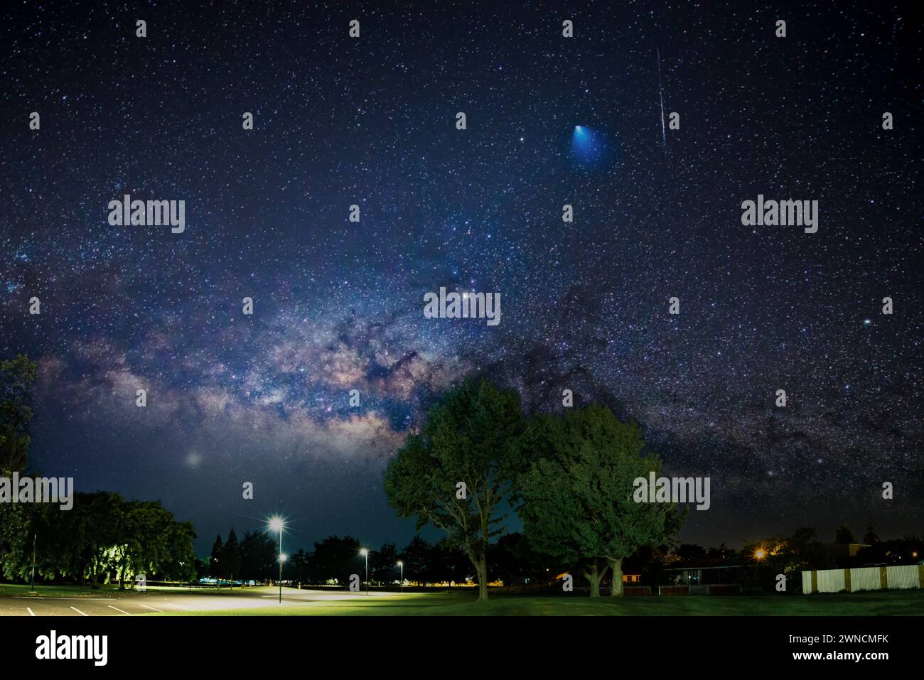 Starry night sky above park Stock Photo - Alamy