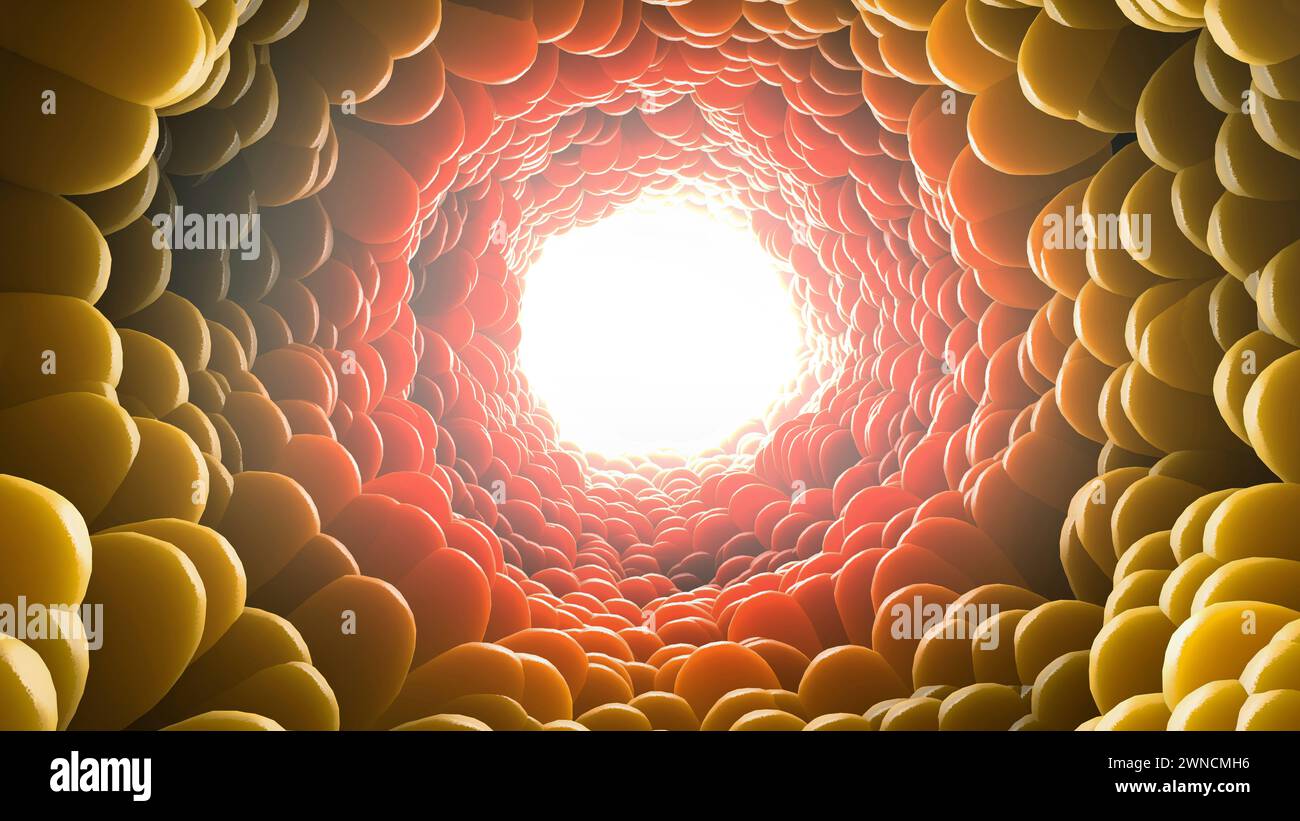 Blood vessel, illustration Stock Photo - Alamy