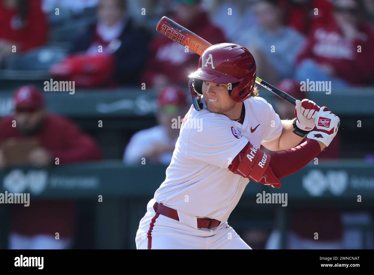 March 1, 2024: Arkansas first baseman Ben McLaughlin #6 waits for the ...
