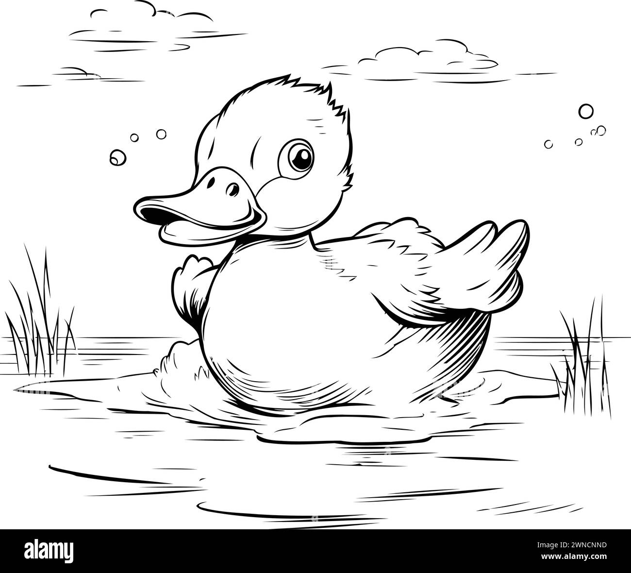 Little duckling Black and White Stock Photos & Images - Alamy