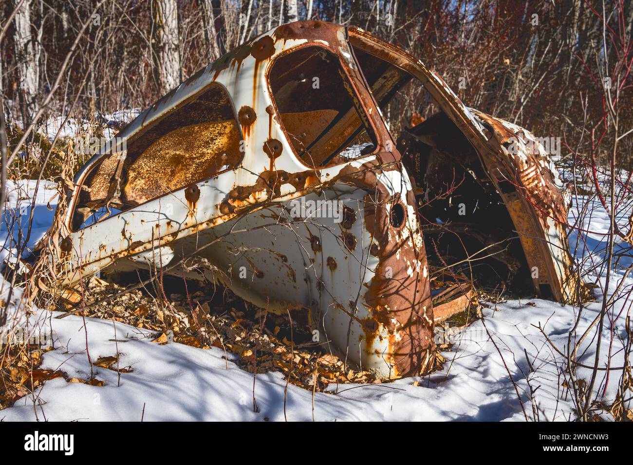 weathered car body dumped in forest nature in winter season Stock Photo ...