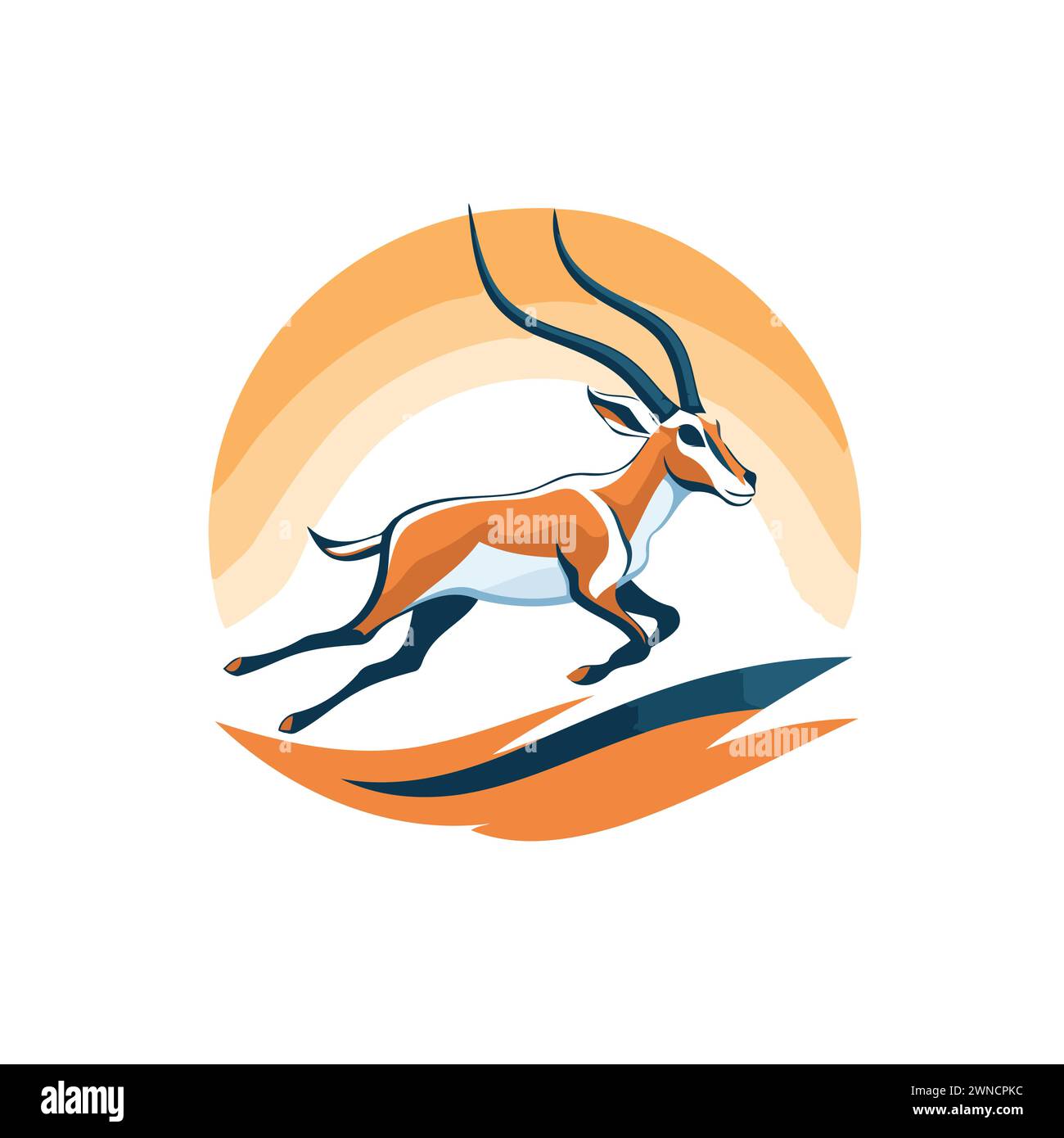 Impala antelope wildlife Cut Out Stock Images & Pictures - Alamy