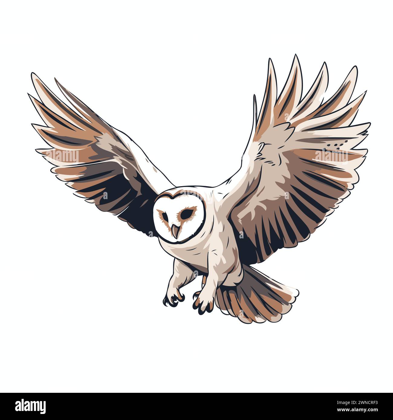 Owl in flight illustration Stock Vector Images - Alamy