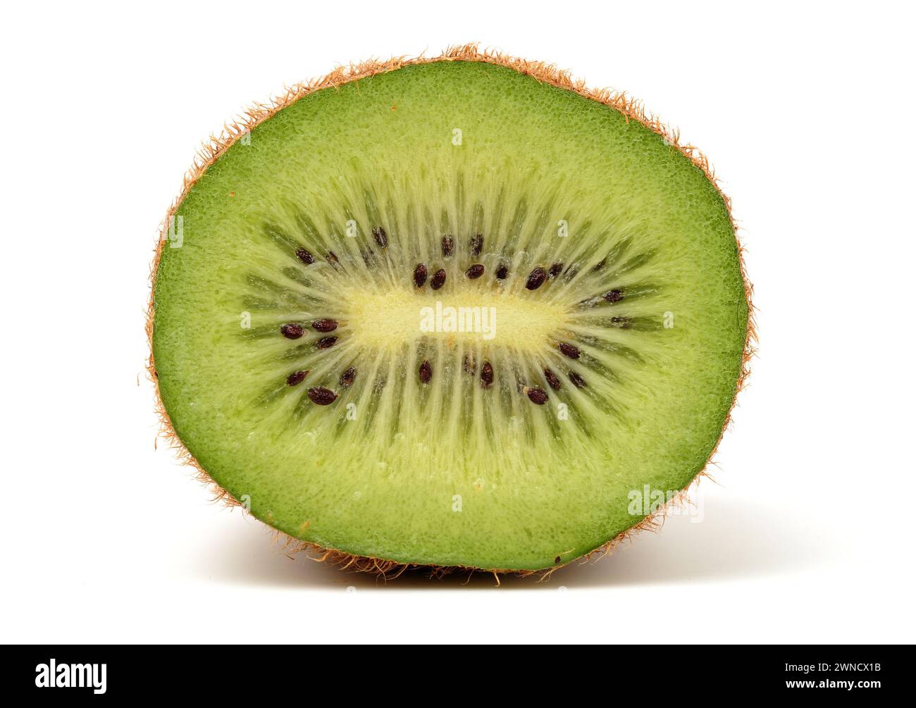 Whole kiwi fruit and his sliced segments isolated on white background ...