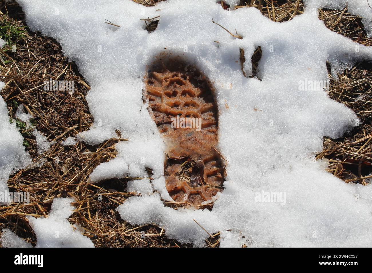 Baby Doll Head in the Snow Stock Photo - Alamy