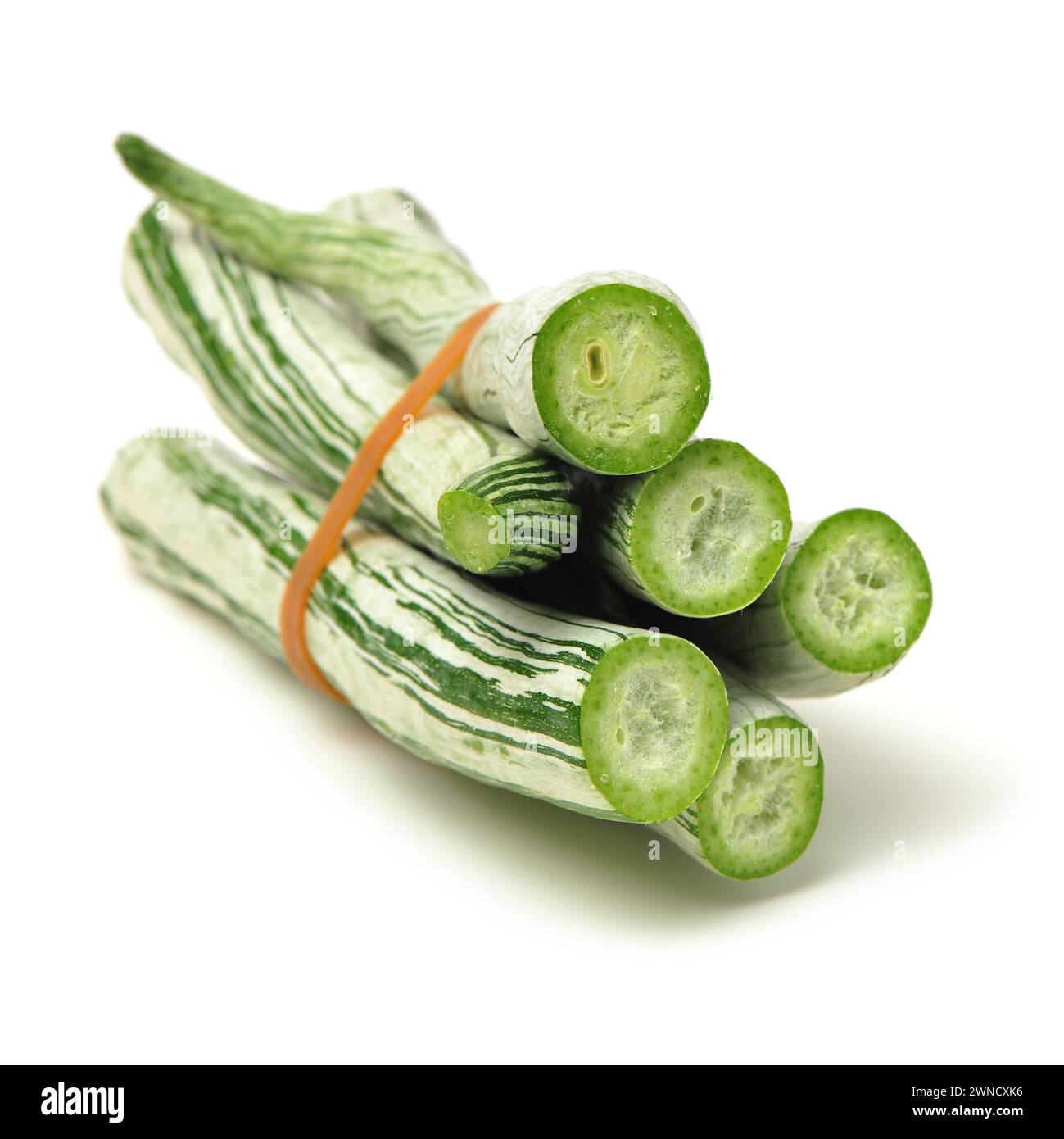 snake gourd on white background Stock Photo - Alamy