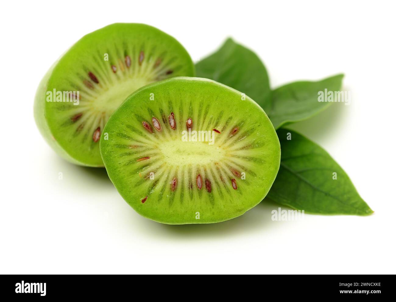 Whole kiwi fruit and his sliced segments isolated on white background ...