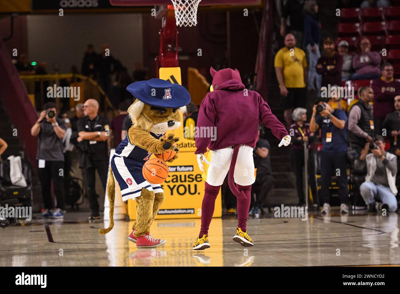 Arizona Wildcats mascot “Wilbur” and Arizona State Sun Devils mascot ...