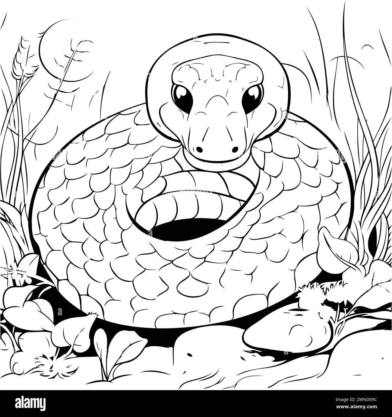 snake in the grass black and white vector illustration for coloring ...
