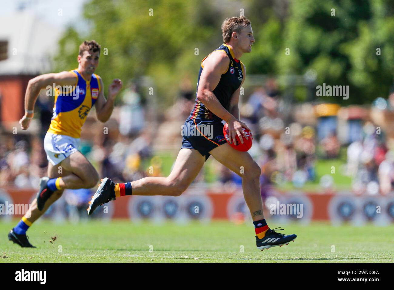 Adelaide, Australia. 02nd Mar, 2024. Jordan Dawson of the Crows during ...