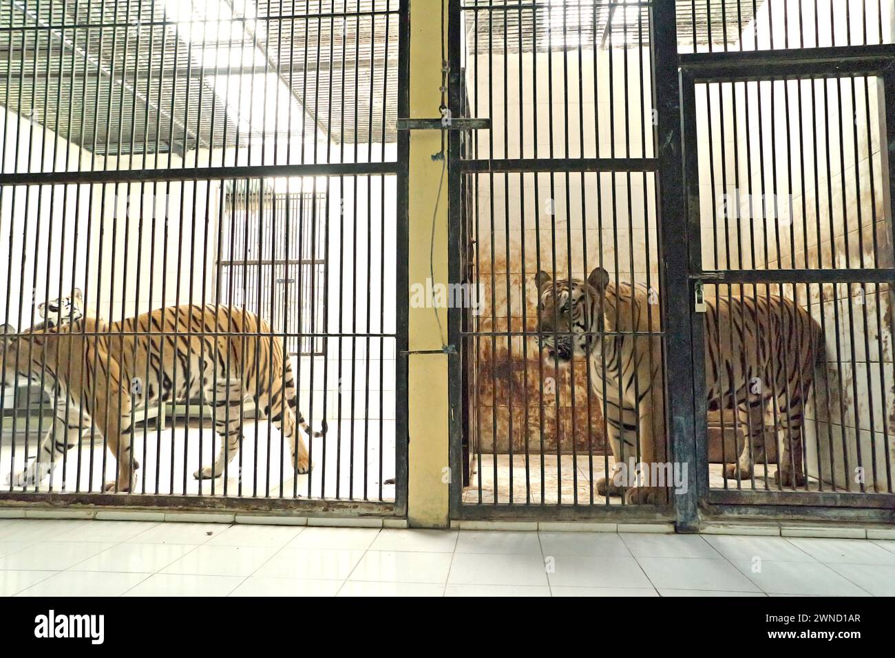 Animal enclosure zoo hi-res stock photography and images - Alamy