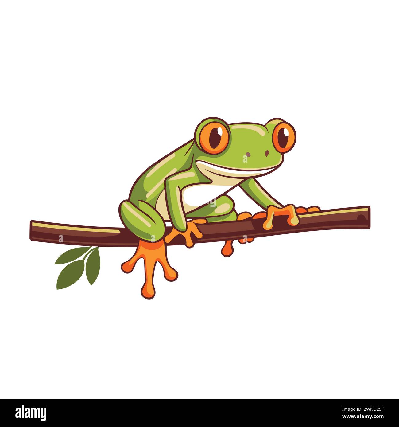 Tree frog on a branch Stock Vector Images - Alamy