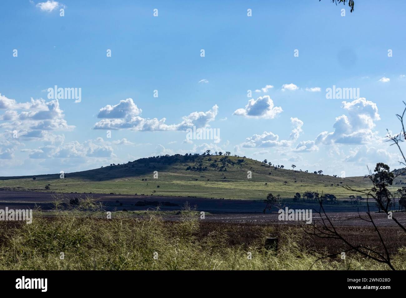 Moola hi-res stock photography and images - Alamy