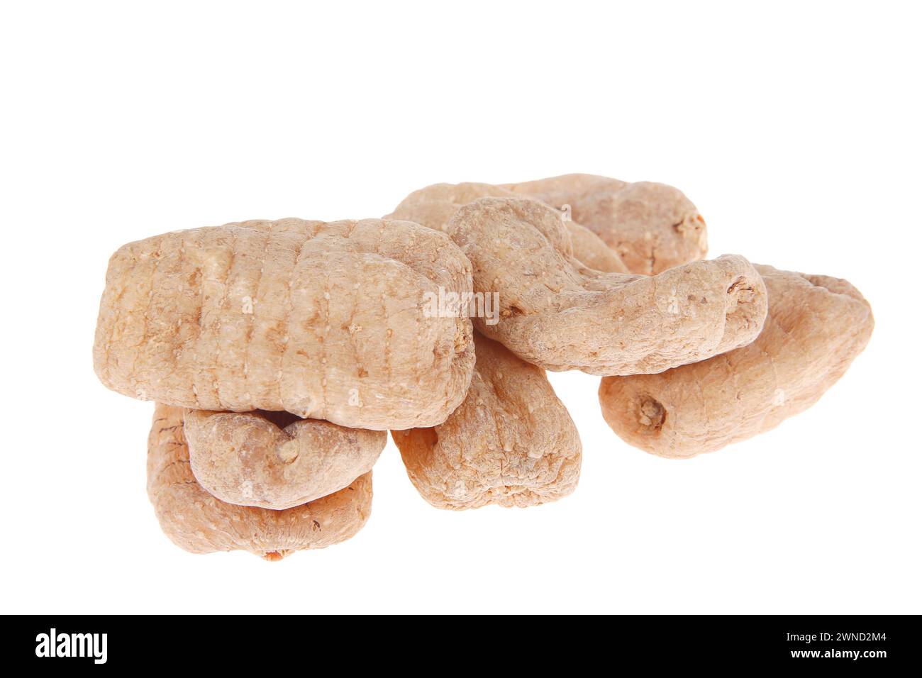 Tianma is isolated on a white background, with Chinese herbal medicine ...