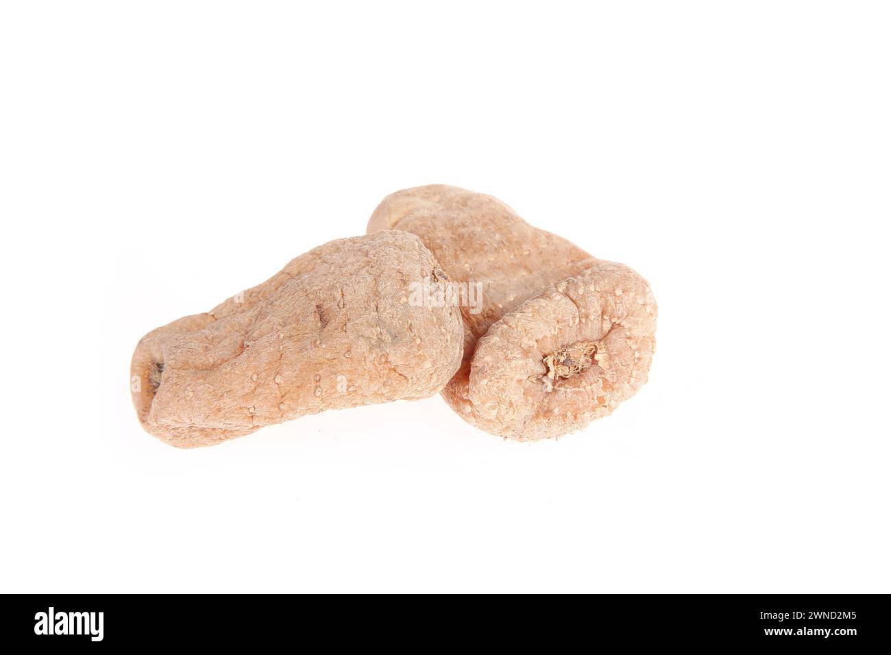 Tianma is isolated on a white background, with Chinese herbal medicine ...