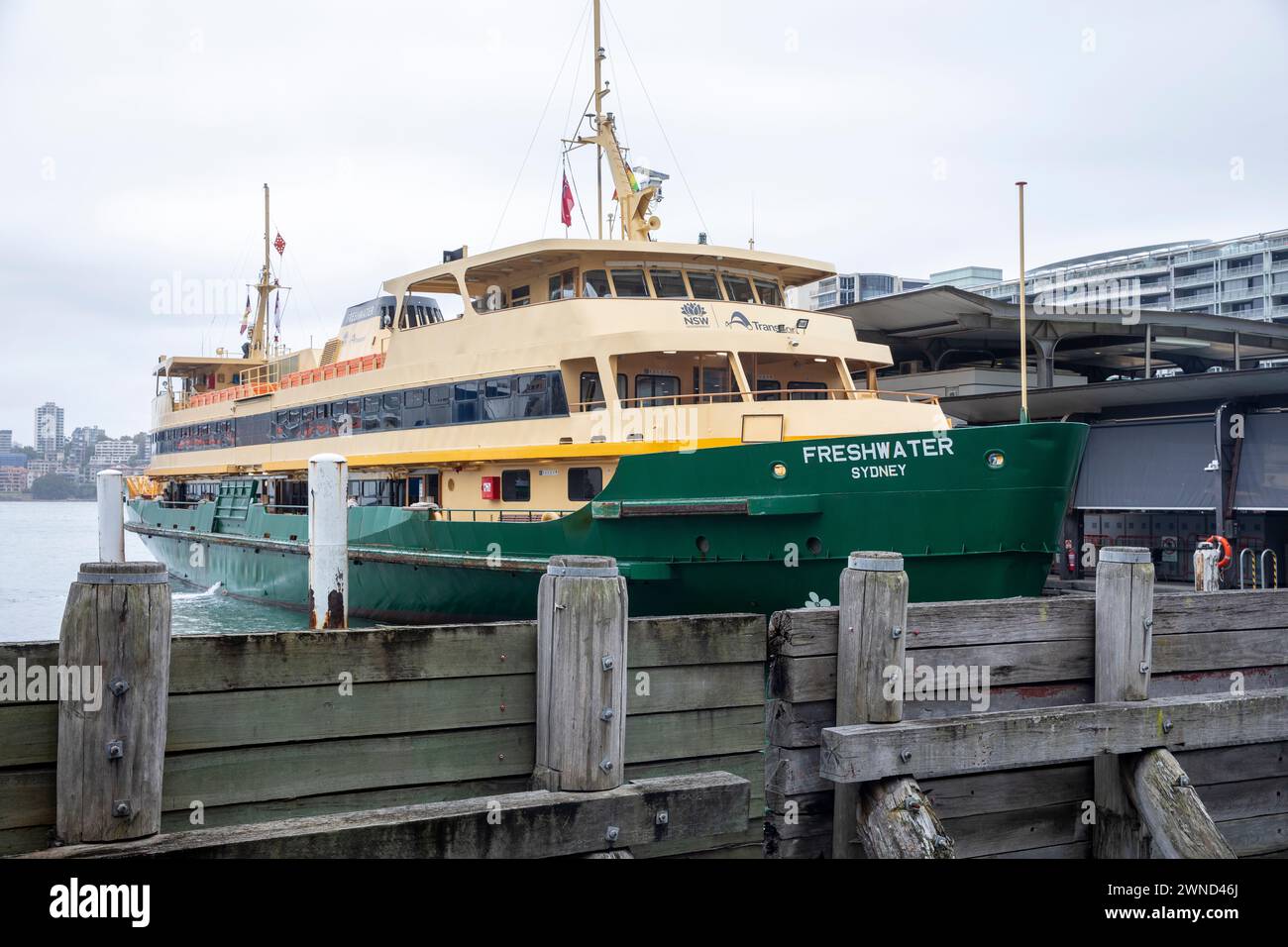 Sydney ferry the MV Freshwater lManly Ferry large ferry moored at ...