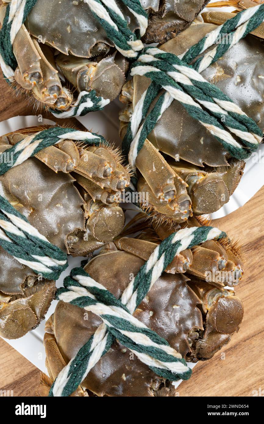 angle view wrapped alive crabs at vertical composition Stock Photo - Alamy