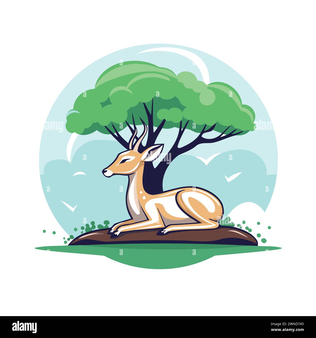 Fawn in Stock Vector Images - Alamy