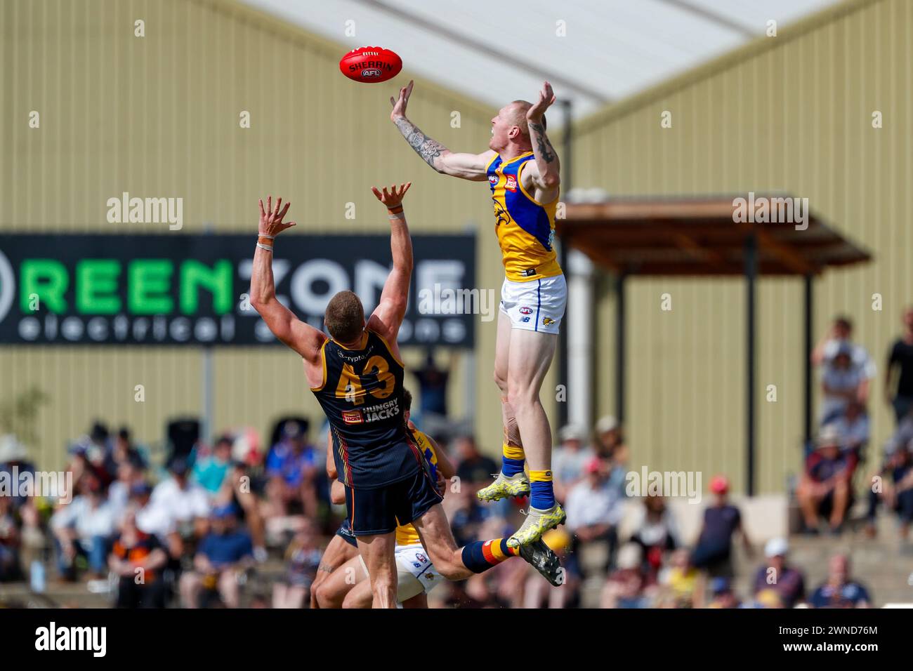 Adelaide, Australia. 02nd Mar, 2024. Bailey J. Williams of the Eagles ...