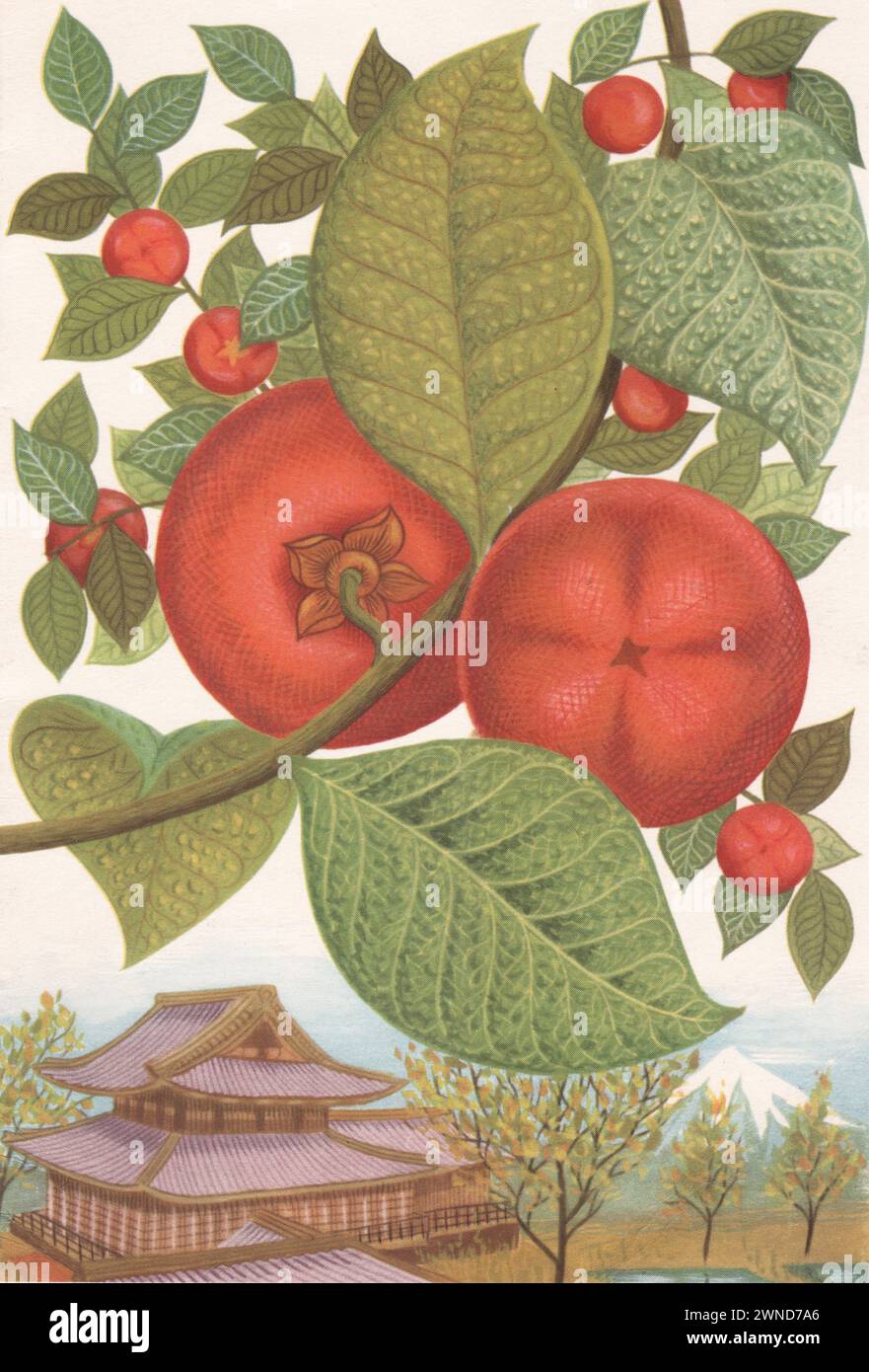 Edward burrett hi-res stock photography and images - Alamy