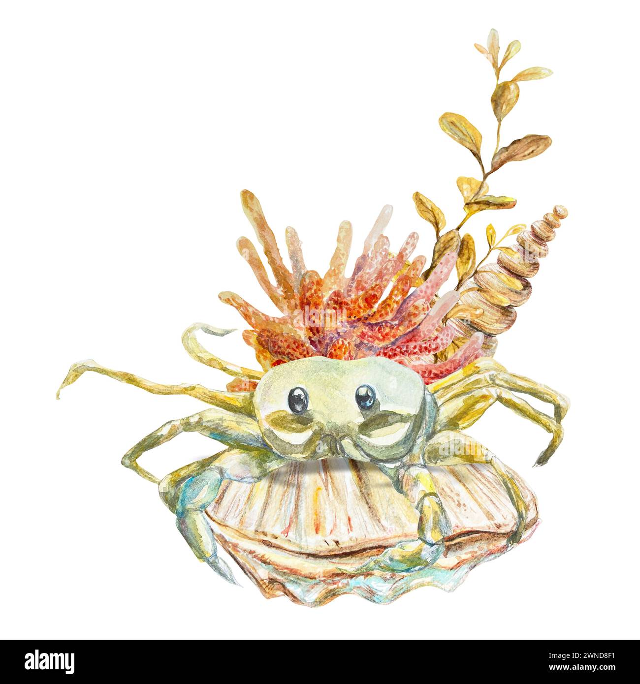 Marine illustration watercolor hi-res stock photography and images - Alamy