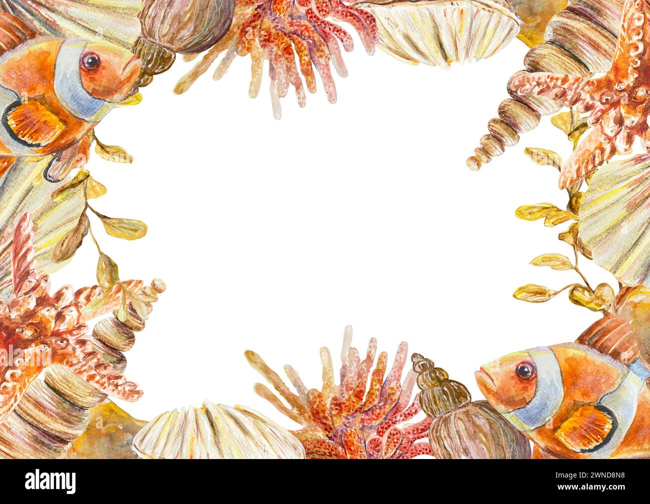 Frame with watercolor starfish, shells, fish. Illustration on a marine ...