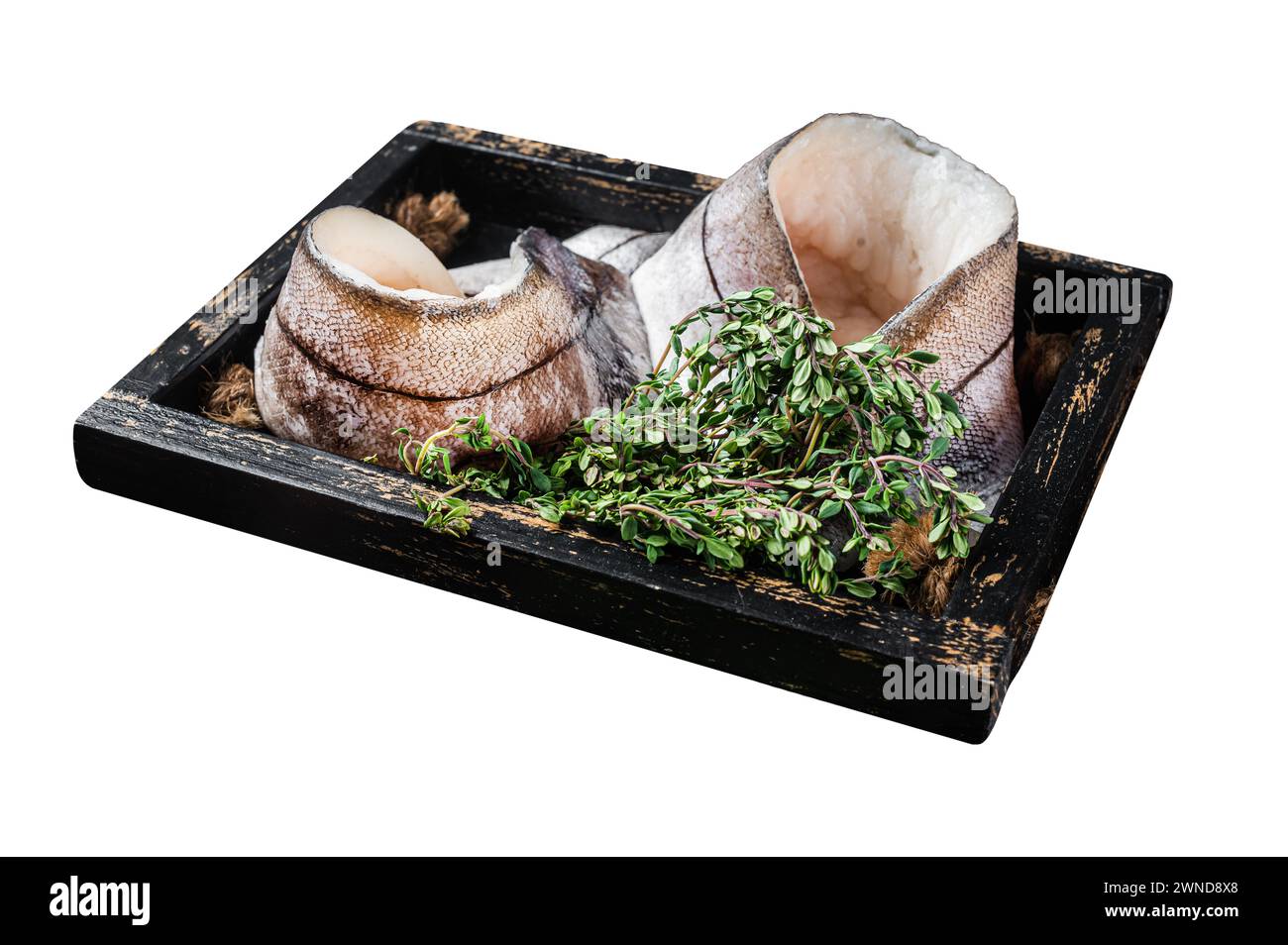 Raw Haddock fish fillets in wooden tray with rosemary and thyme ...