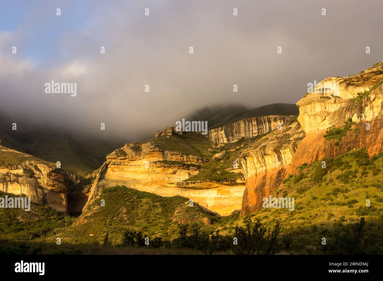 Fog shrouding the top of majestic gold-colored cliffs of golden gate ...