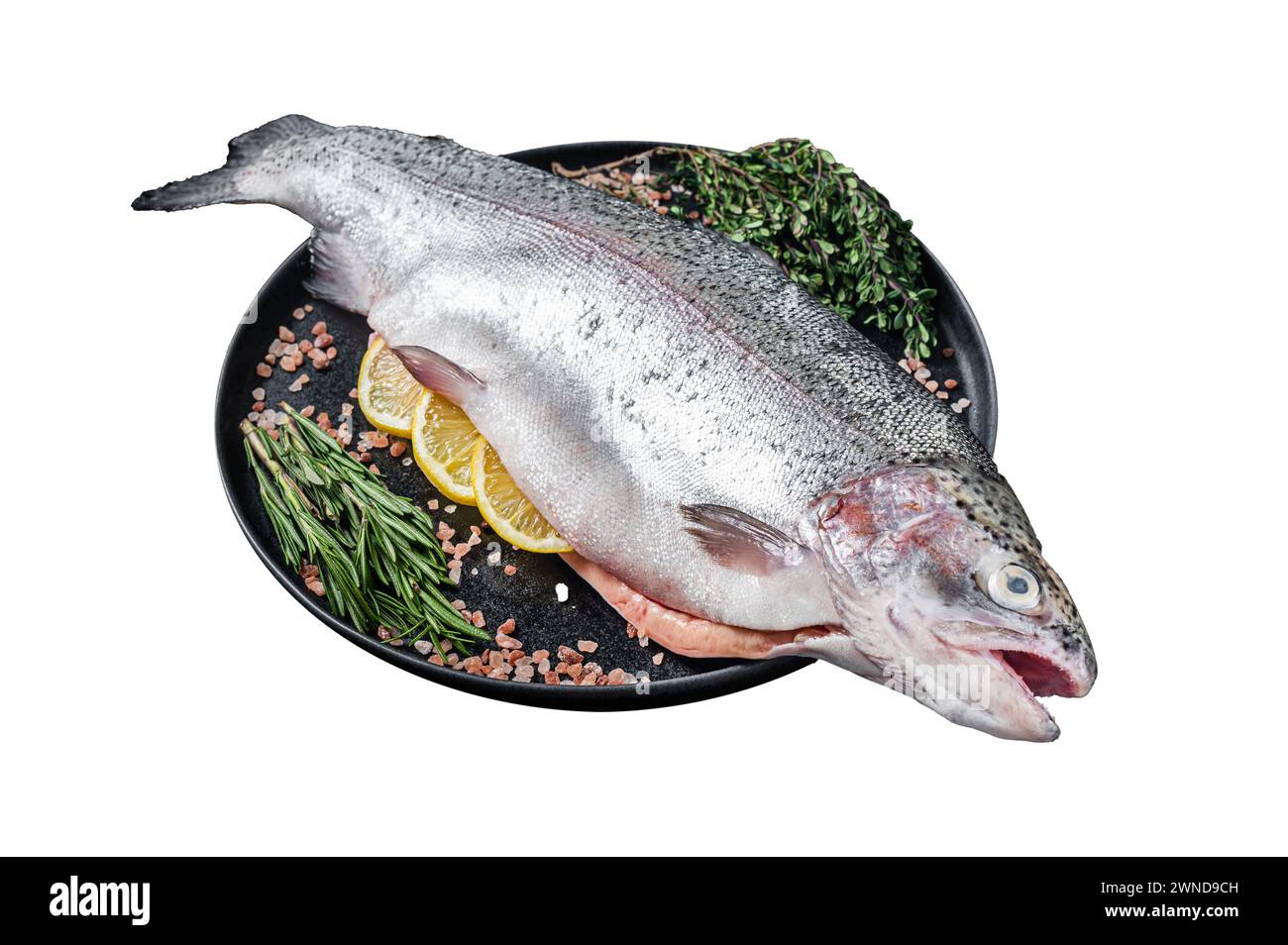 Raw Sea trout, fresh fish on a plate with herbs. Isolated on white ...