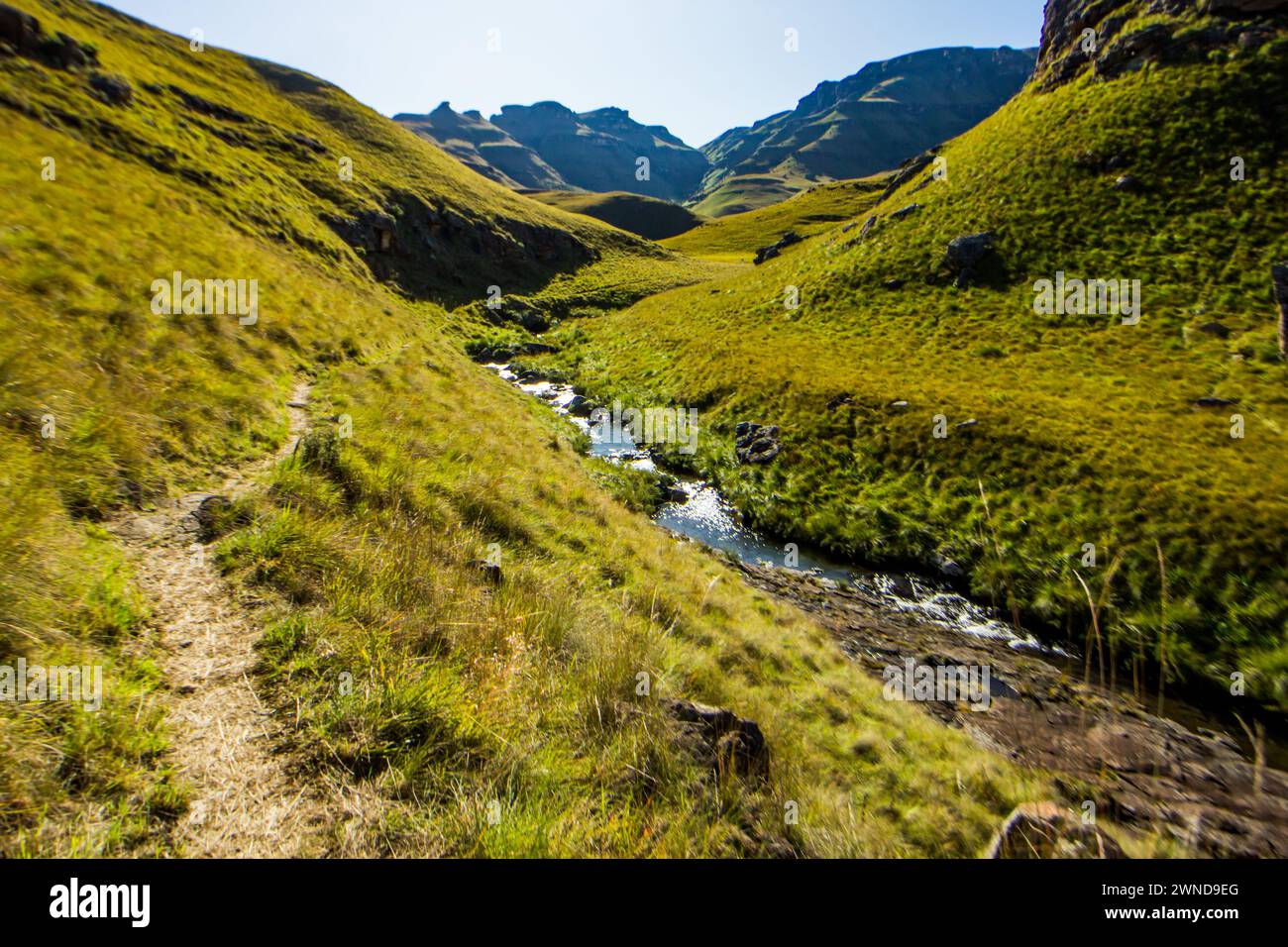 Hiking trail next to a mountain stream flowing through a small narrow ...