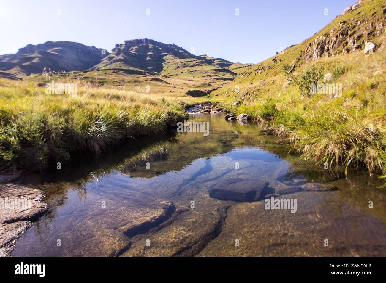 A calm, clear mountain Stream, in the Afroalpine grassland of the ...