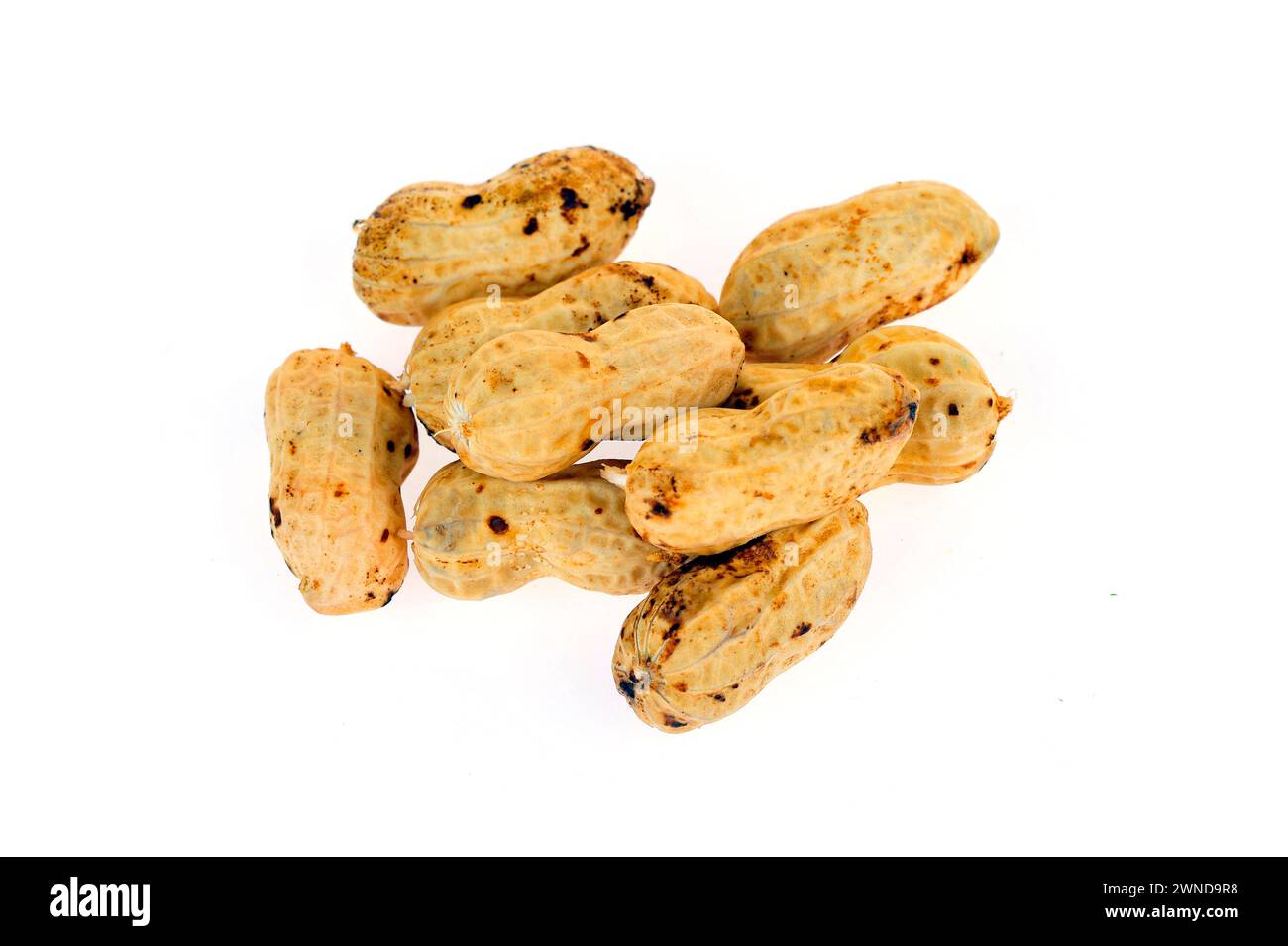 Peanuts nuts leaves on Cut Out Stock Images & Pictures - Alamy