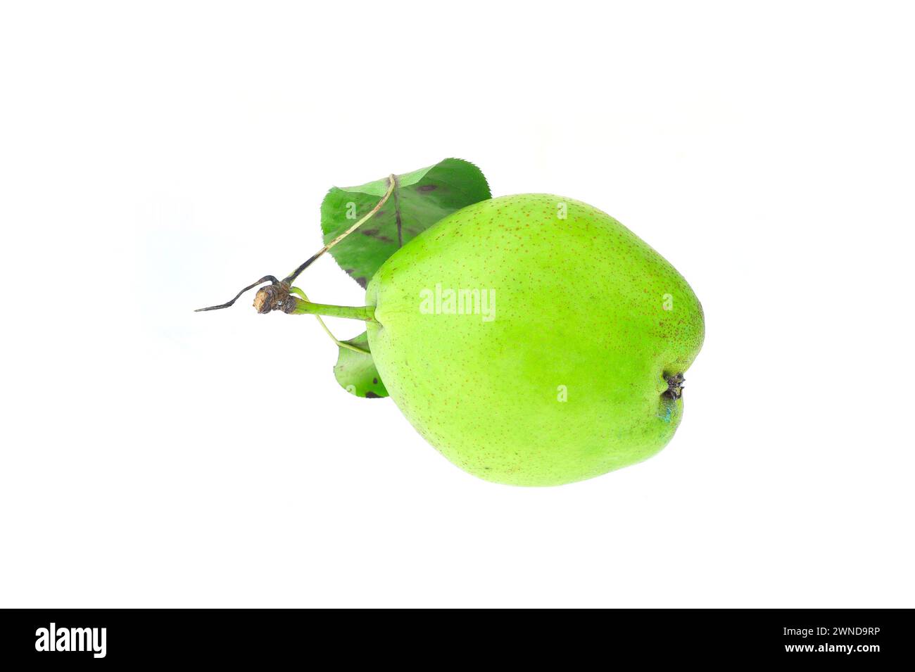Pome is white background Stock Photo - Alamy