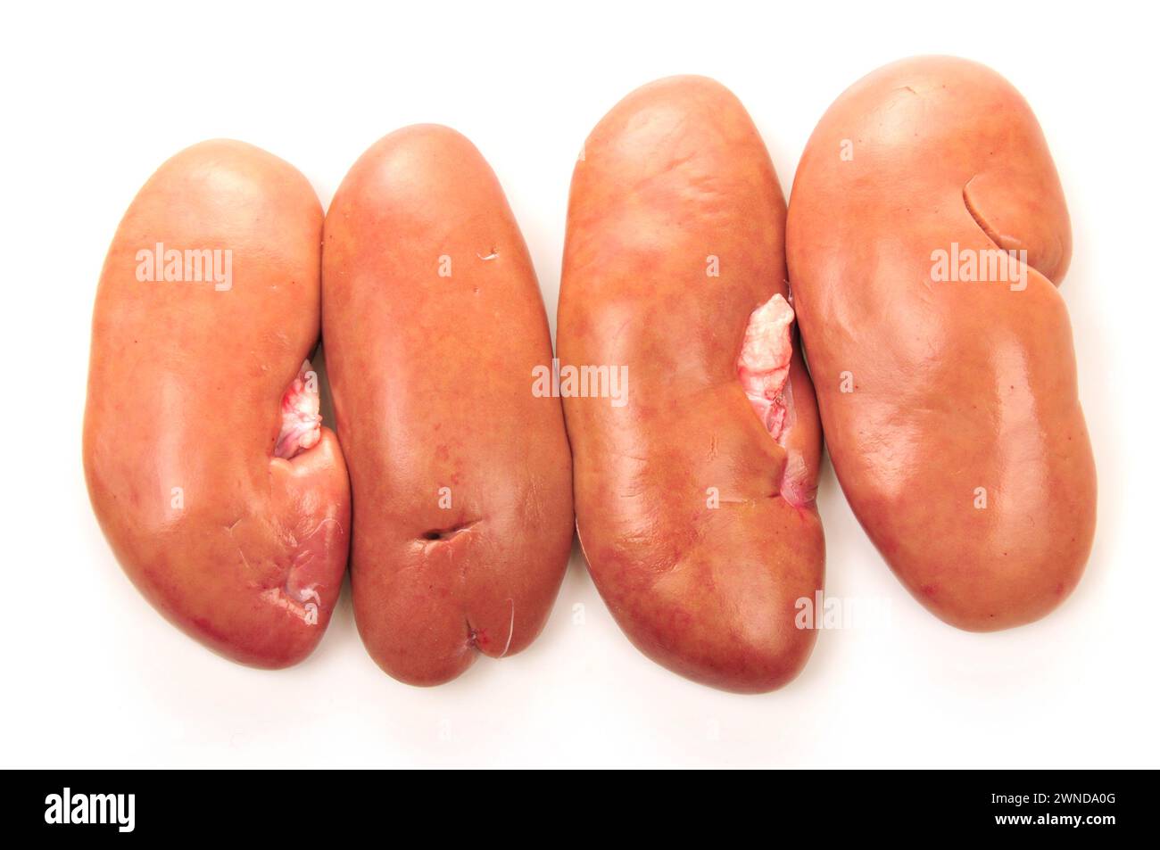 Pig kidney anatomy hi-res stock photography and images - Alamy